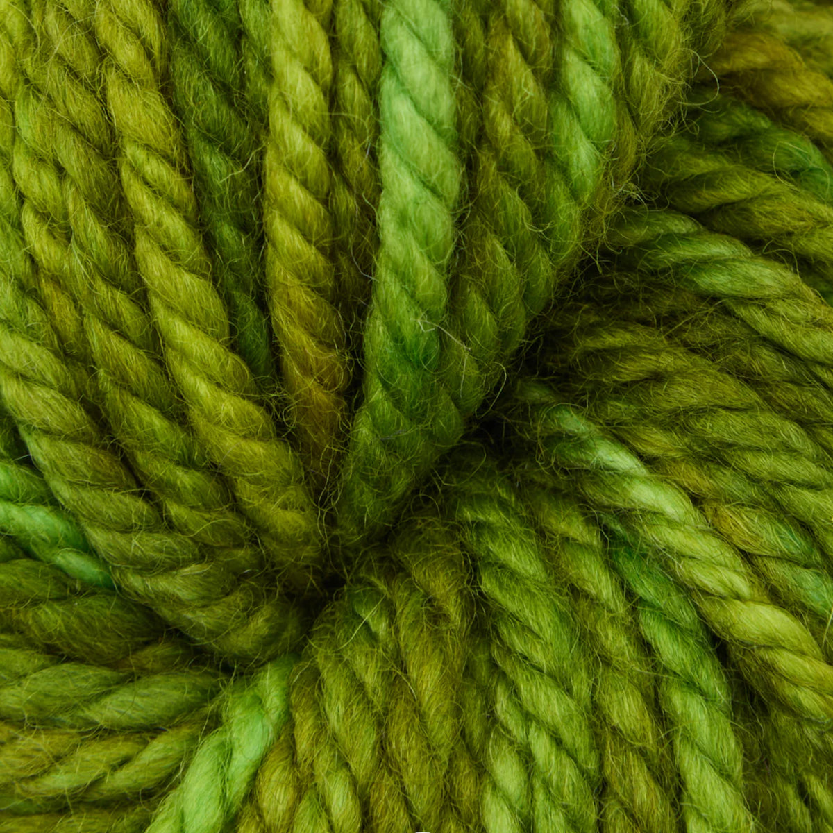 Parrot Rug Yarn – Searsport Rug Hooking